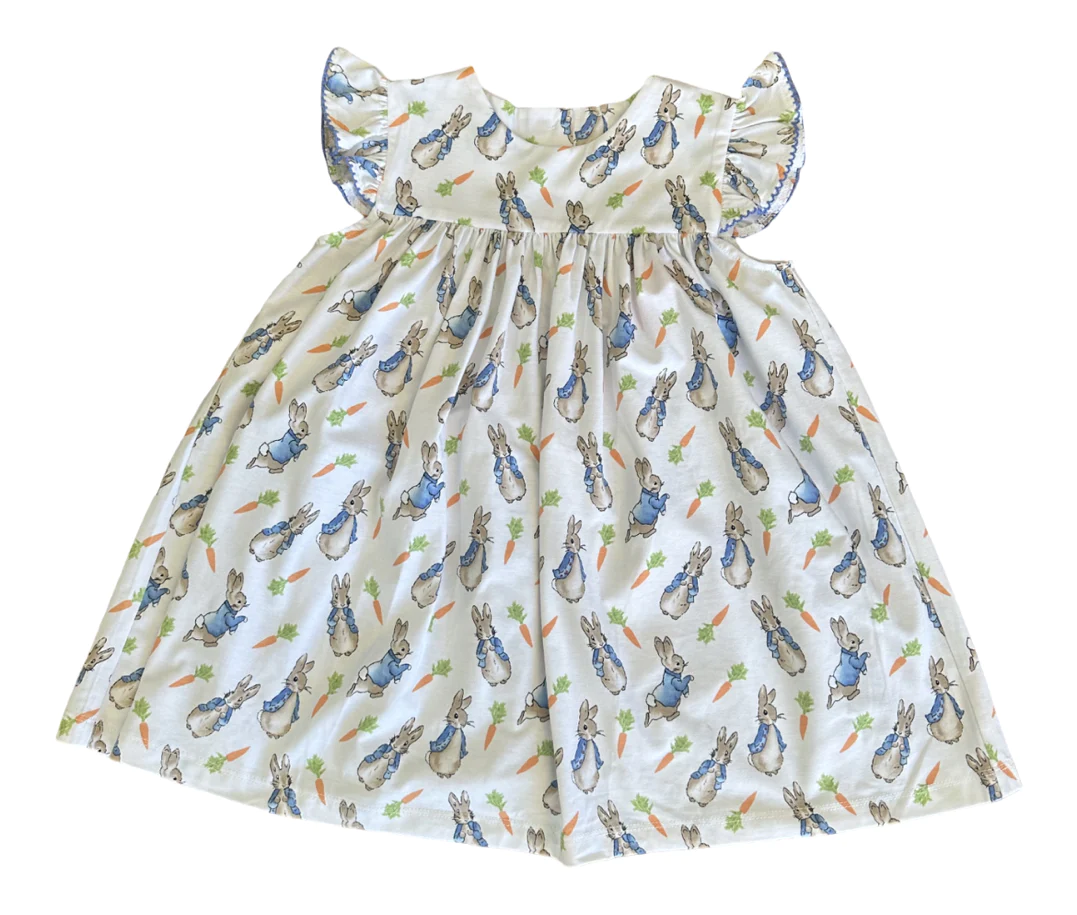 Peter Rabbit Dress – Little Silo Co.